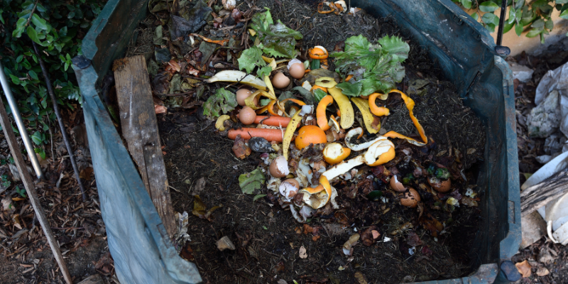 Guide for Winter Composting | Create the Perfect Cold-Weather Compost ...