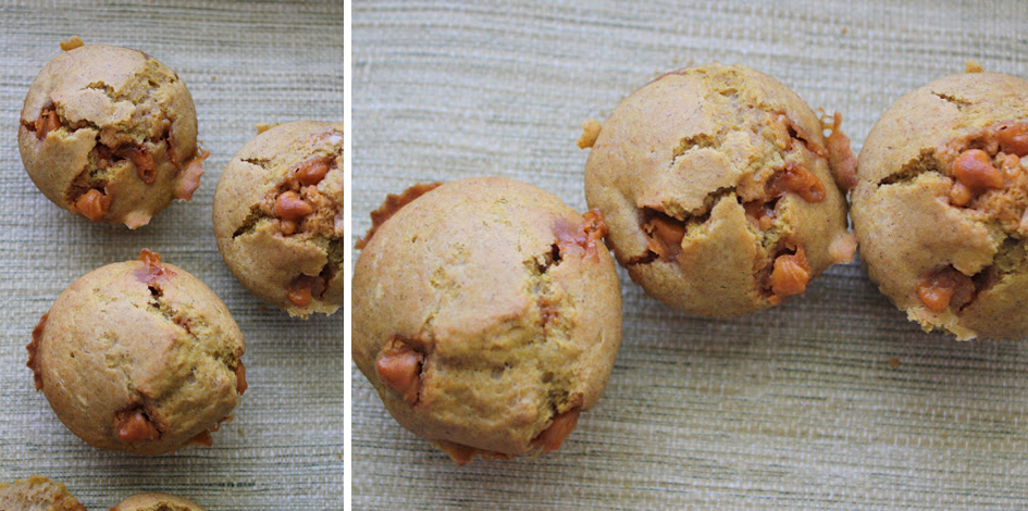 12 Pumpkin Recipes From Local Nebraska Food Bloggers - The Dodge Voice ...