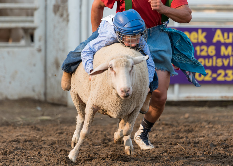 What to Do in Sarpy County This Summer