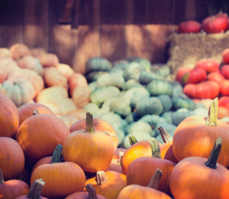 10 Places to See Fall Foliage Near Omaha, Nebraska - The Dodge Voice ...