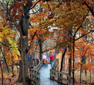 10 Places to See Fall Foliage Near Omaha, Nebraska - The Dodge Voice ...