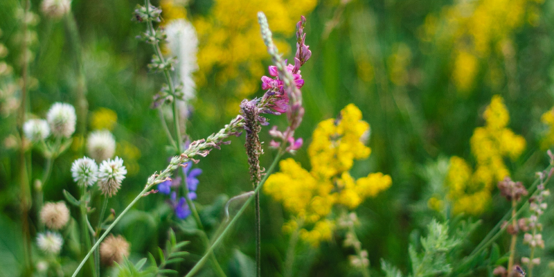 9 Things to Do During the Spring in Council Bluffs, Iowa - The Dodge ...