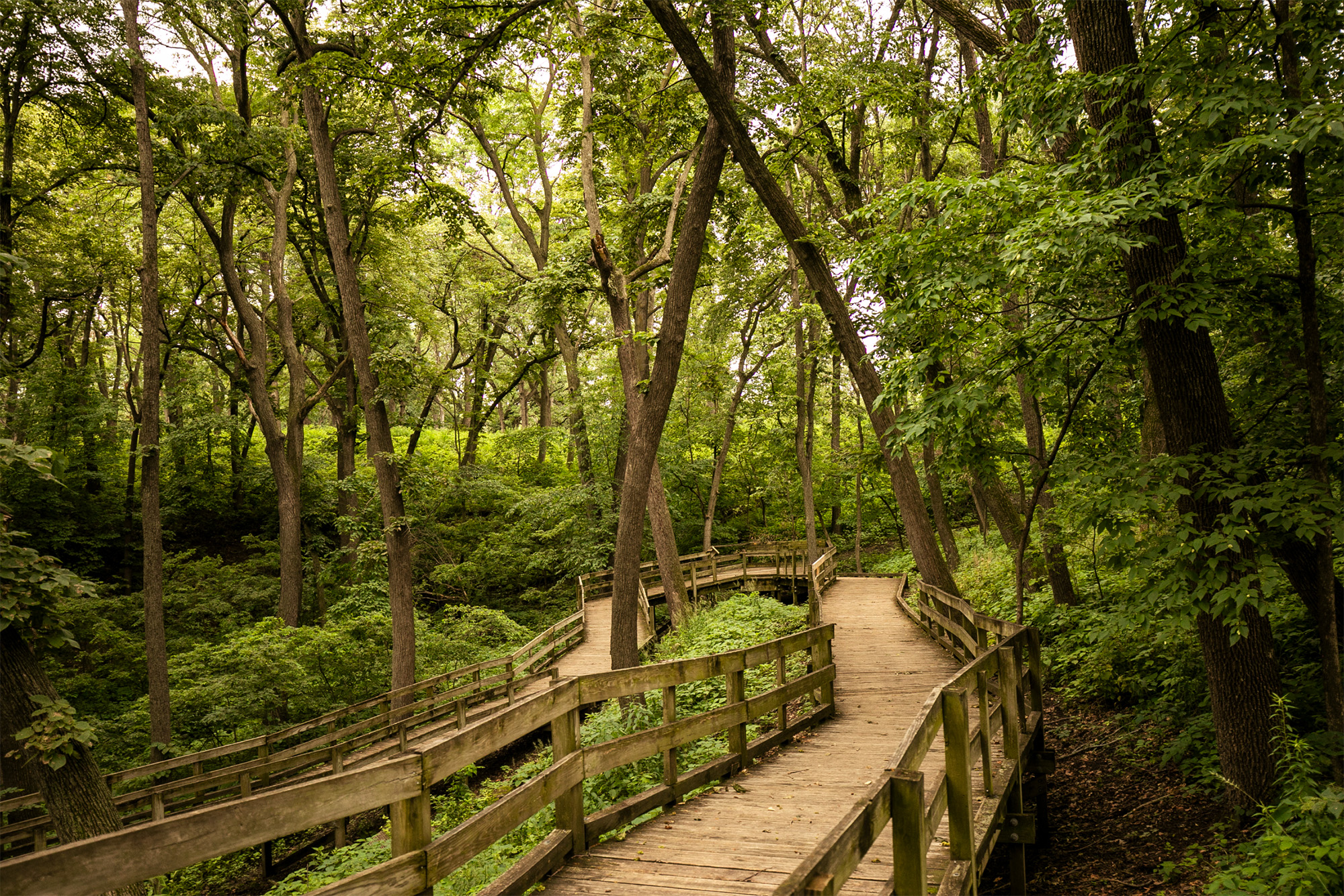 Family-Friendly Things to Do in Omaha This Summer - The Dodge Voice - Omaha